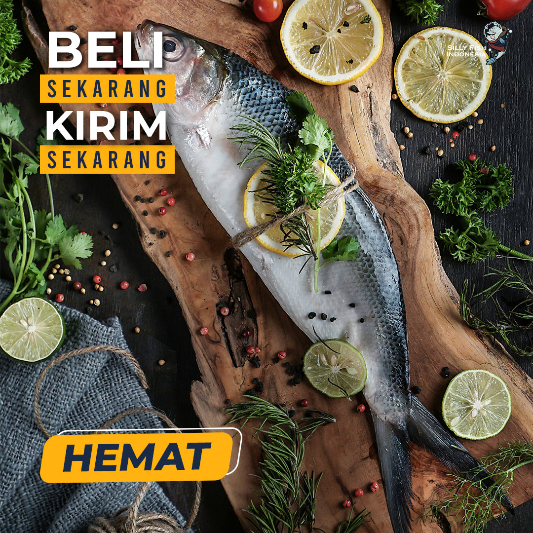 Jabodetabek – Silly Fish Indonesia