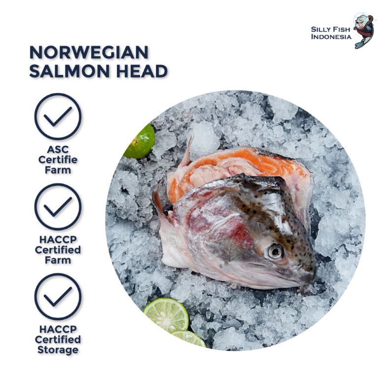 Kepala Salmon – Silly Fish Indonesia